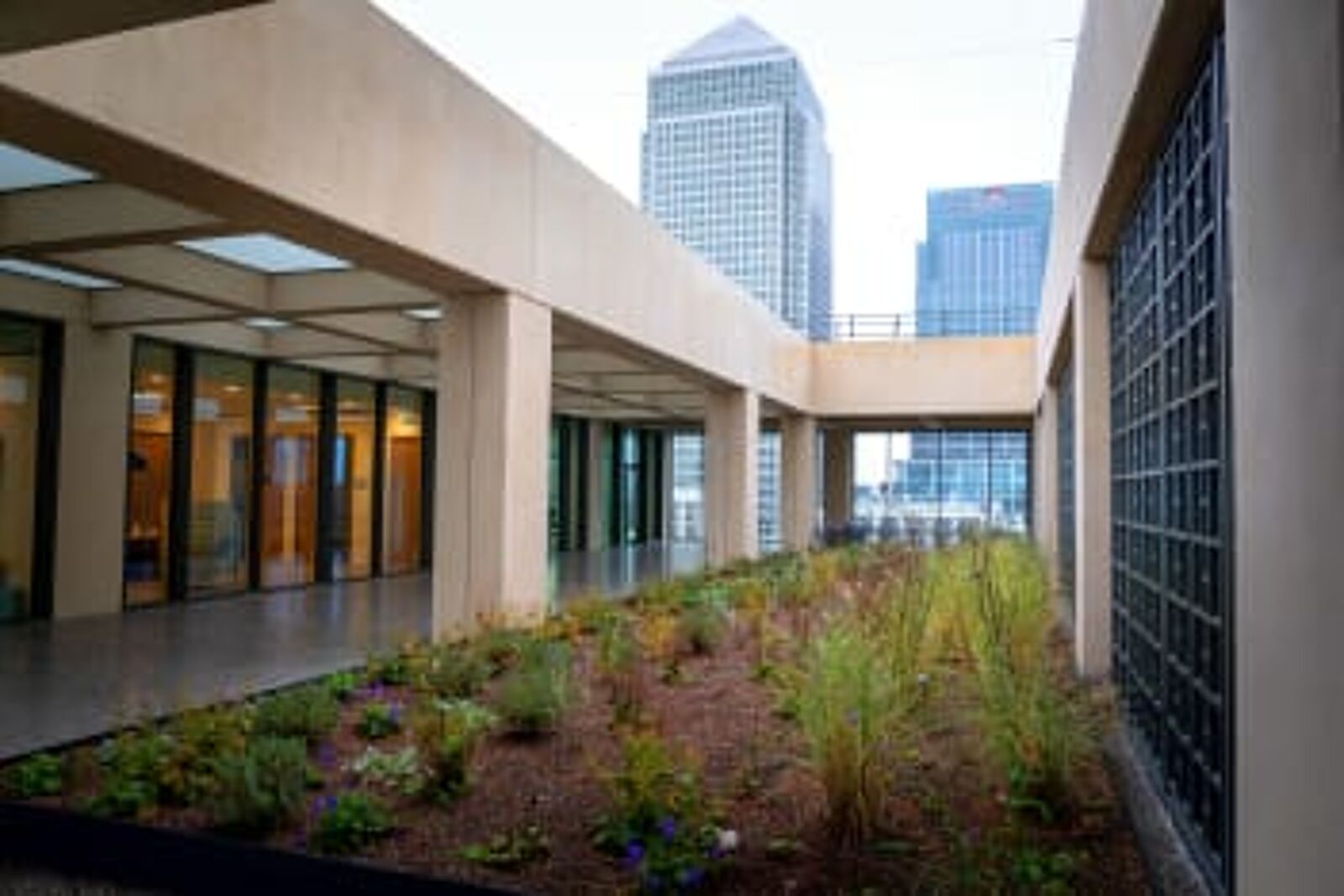 Serviced Office Cabot Square, London, E14 4QZ – Knight Frank
