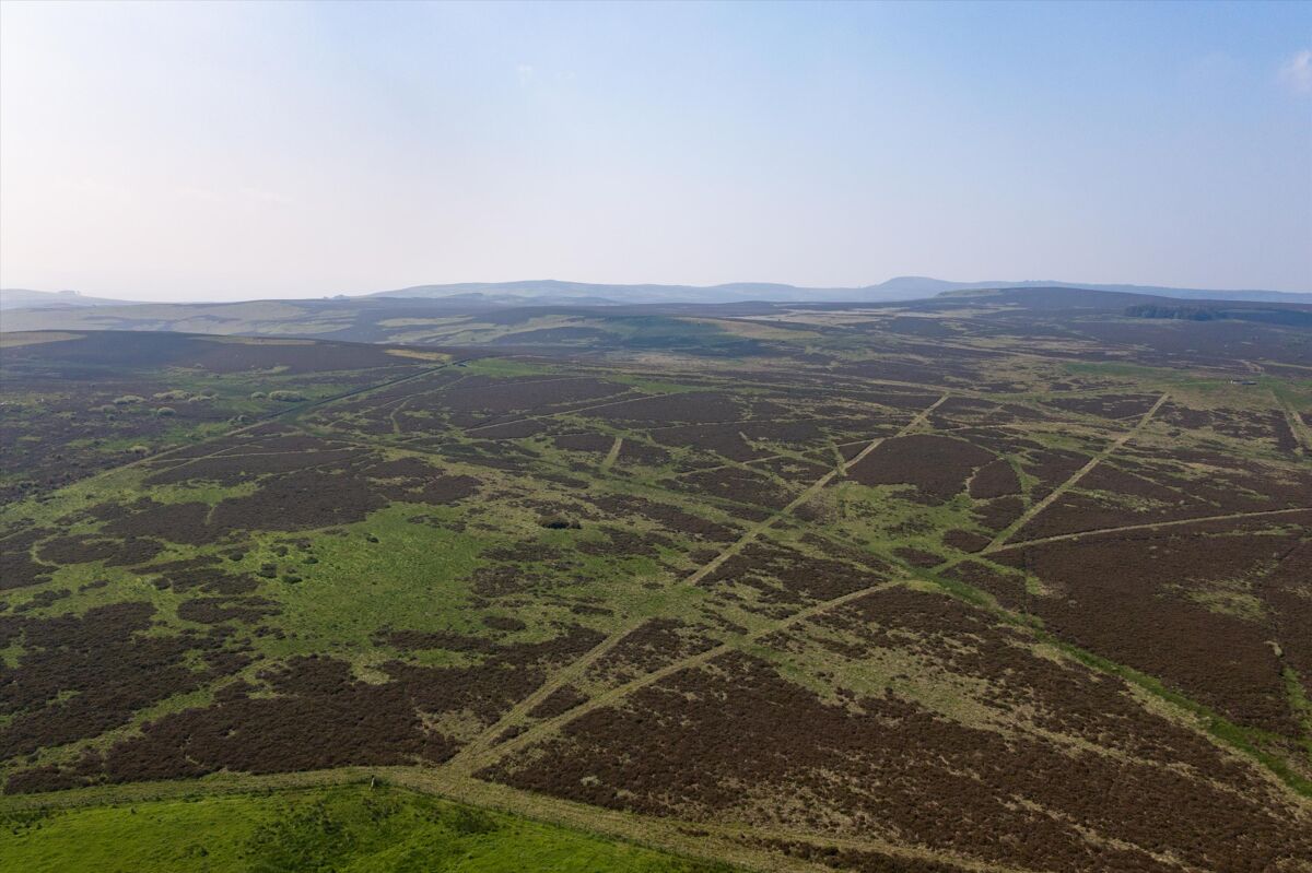 A prime, well-equipped Northumberland livestock farm and moorland ...