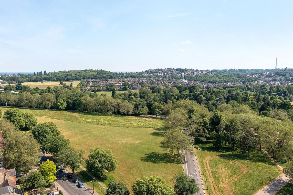 house for sale in Peckham Rye, Peckham Rye Park, London, SE15 ...