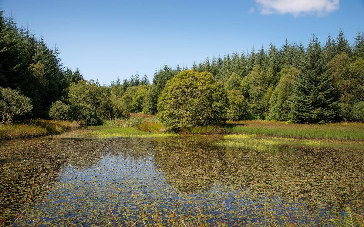 estate for sale in Castleton Estate, Lochgilphead, Argyll, PA31 ...