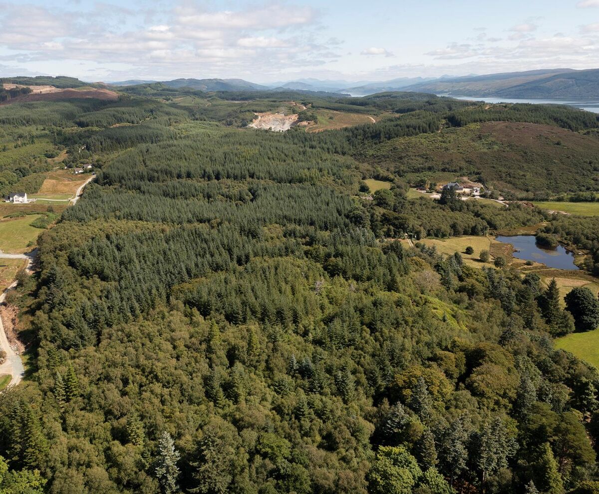 estate for sale in Castleton Estate, Lochgilphead, Argyll, PA31 ...