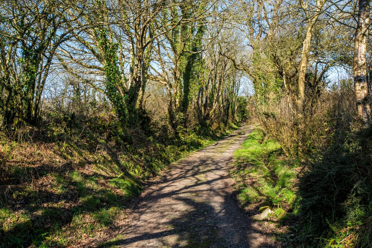 house for sale in Bradworthy, Holsworthy, Devon, EX22 - exe012256962 ...