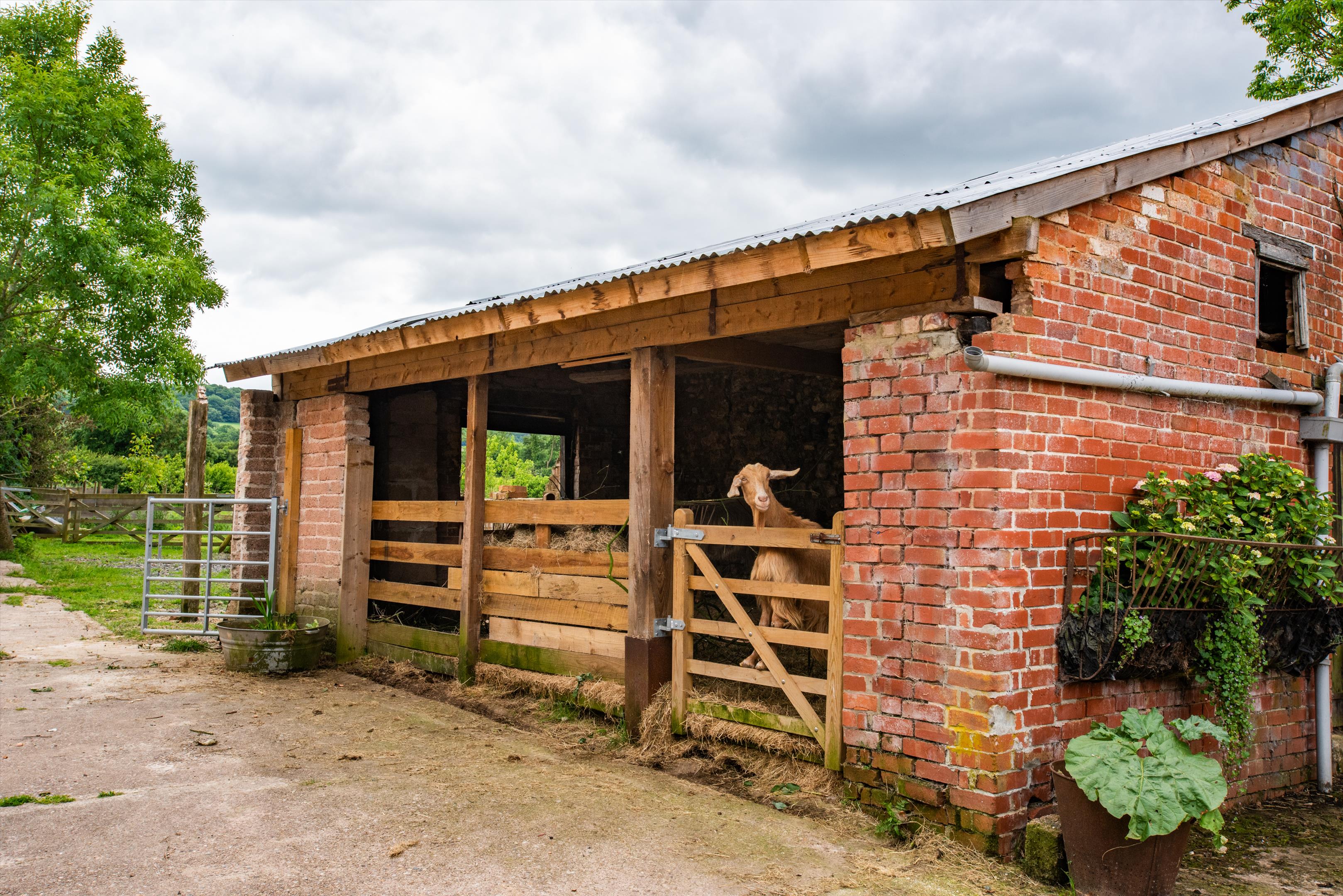 3.08 acres, Alfington, Ottery St. Mary, EX11, Devon - UKLAF