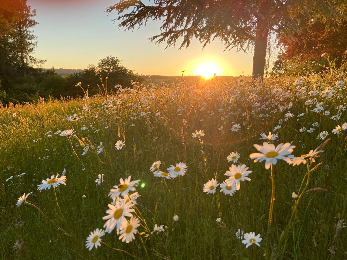 house for sale in Colaton Raleigh, Devon, EX10 - exe130041 | Knight Frank