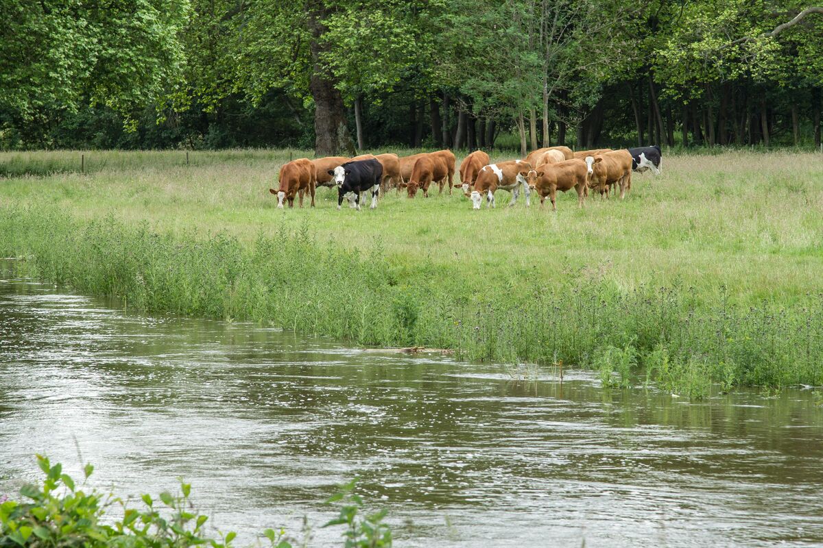 apartment for sale in 2 Peper Harow House, Peper Harow Park, Peper ...