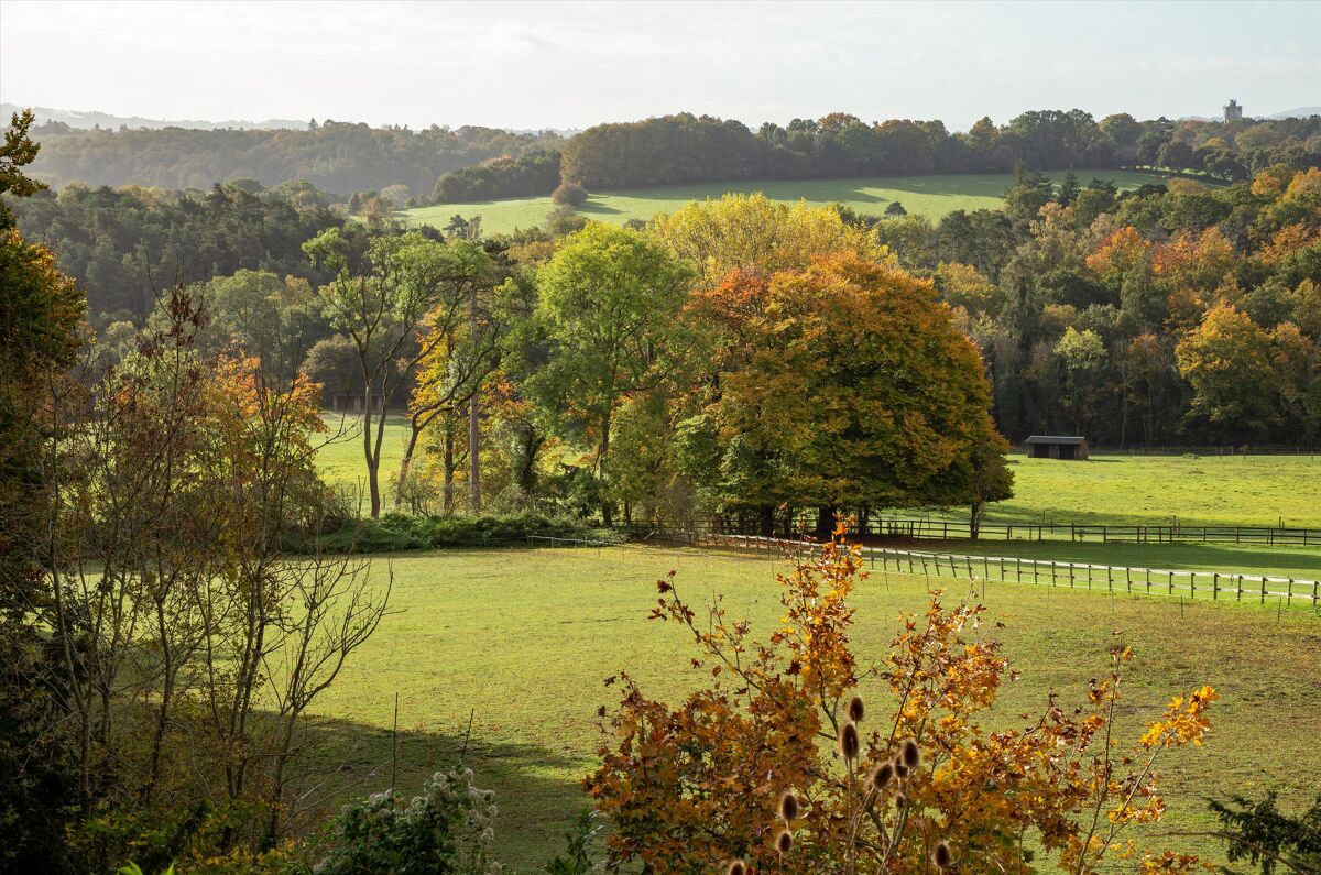 bungalow for sale in Compton, Guildford, Surrey, GU3 1DG - gld190092 ...