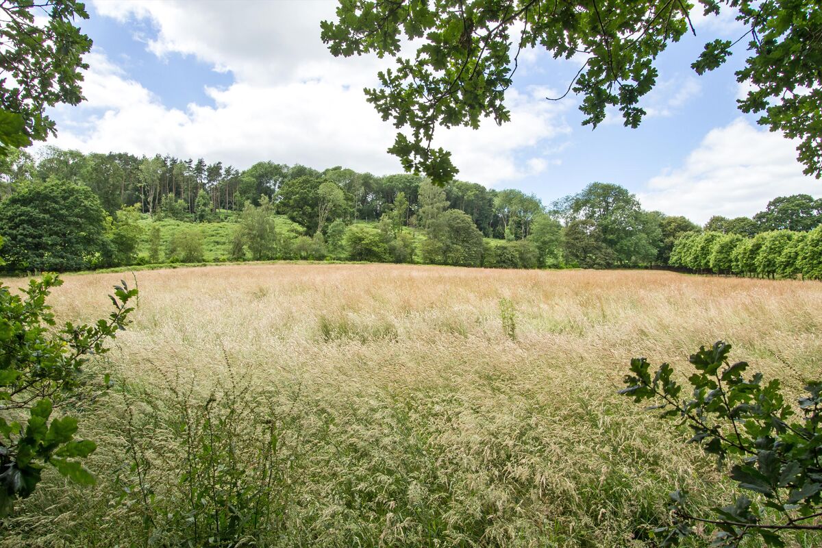 house for sale in Denne Road, Horsham, West Sussex, RH12 - HOR150058 ...