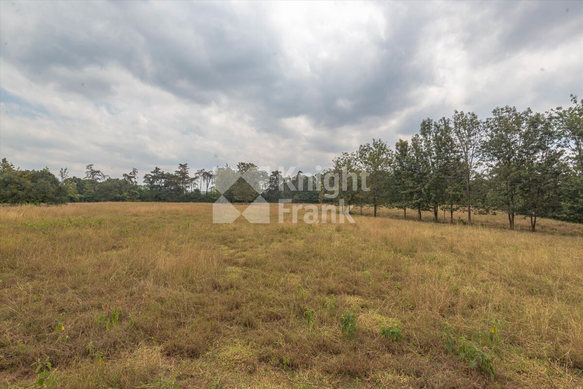 Land for sale in Ololua, Karen, Nairobi - hub2122495 | Knight Frank