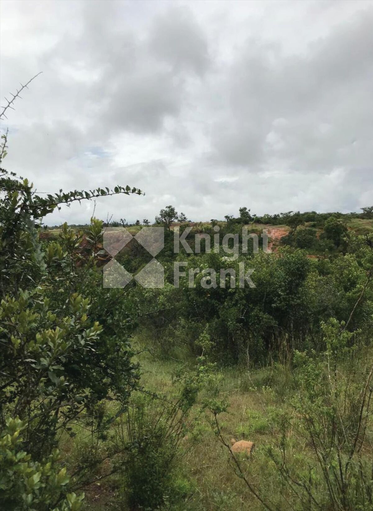 Opportunity to Own 27.75 Acres in a 1000-acre Conservancy in Lolldaiga ...