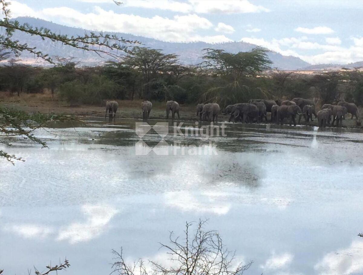 Opportunity to Own 27.75 Acres in a 1000-acre Conservancy in Lolldaiga ...