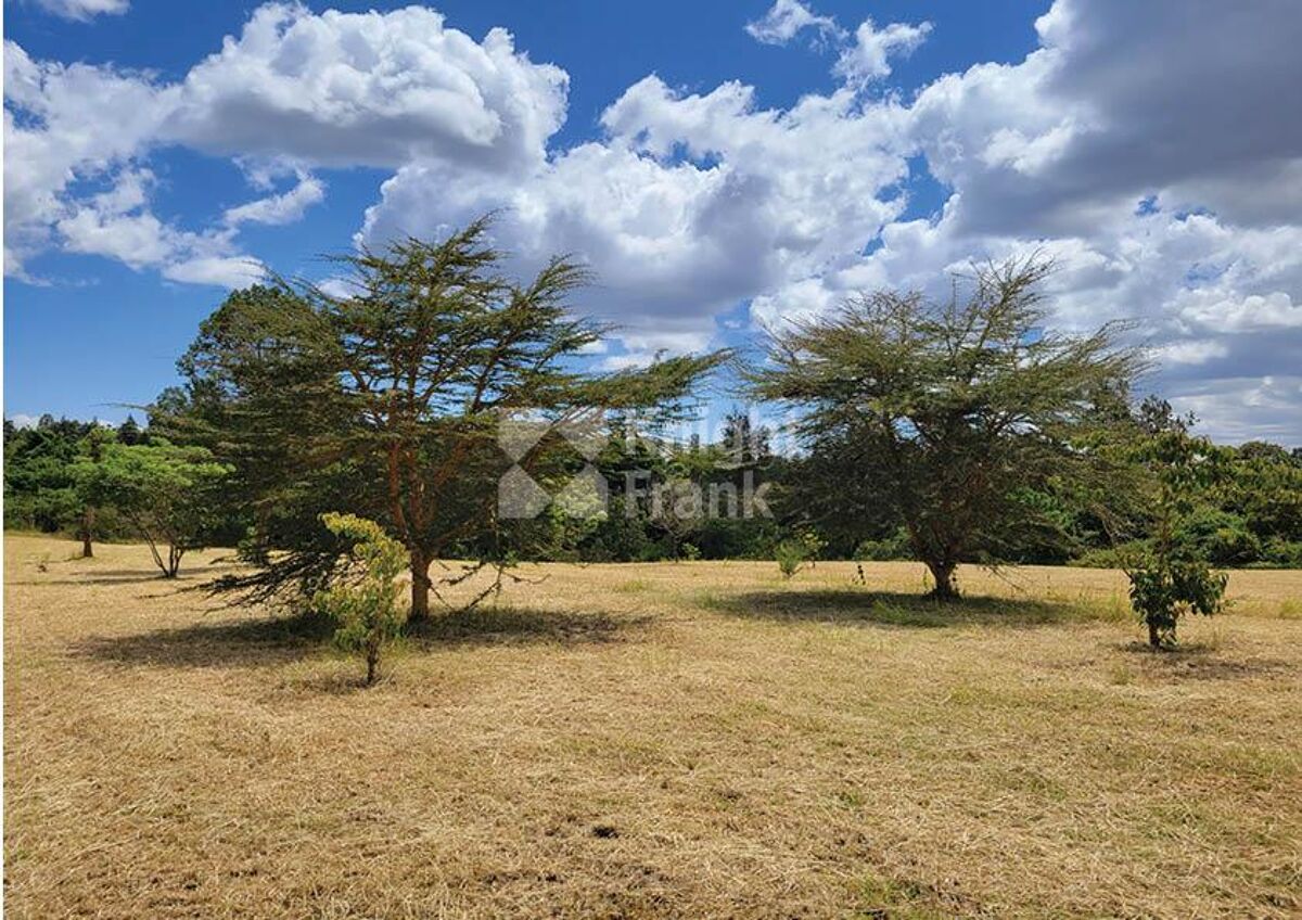 Land for sale in Timau, Nanyuki - hub2339266 | Knight Frank Kenya