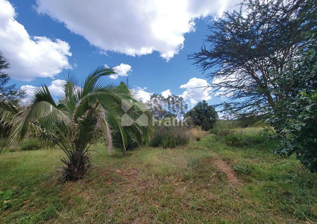 Land for sale in Timau, Nanyuki - hub2339266 | Knight Frank Kenya