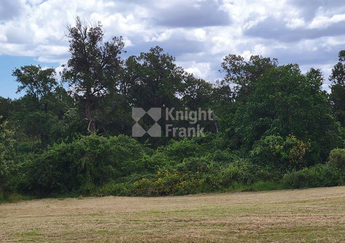 Land for sale in Timau, Nanyuki - hub2339266 | Knight Frank UK