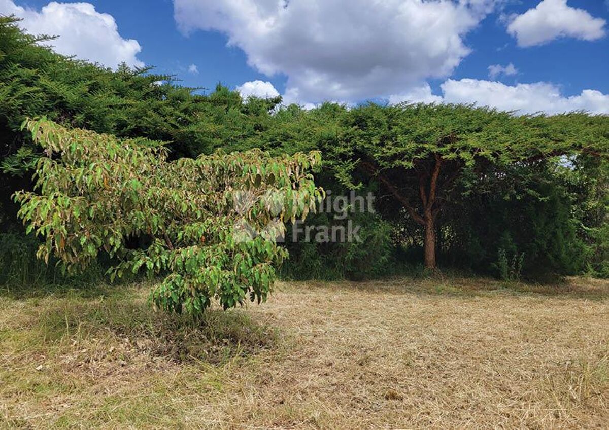 Land for sale in Timau, Nanyuki - hub2339266 | Knight Frank Kenya