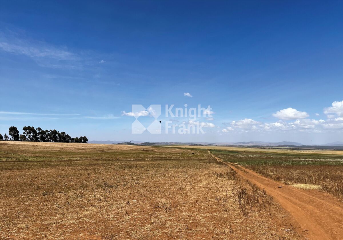 Land for sale in Timau, Nanyuki - hub2344932 | Knight Frank