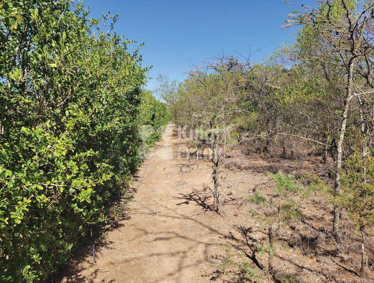 Land for sale in Mukima, Nanyuki. - hub2362690 | Knight Frank Kenya