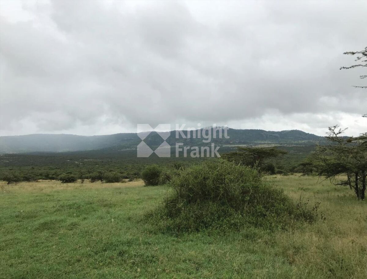Opportunity to Own 38.65-acres in a 1000-acre Conservancy in Lolldaiga ...