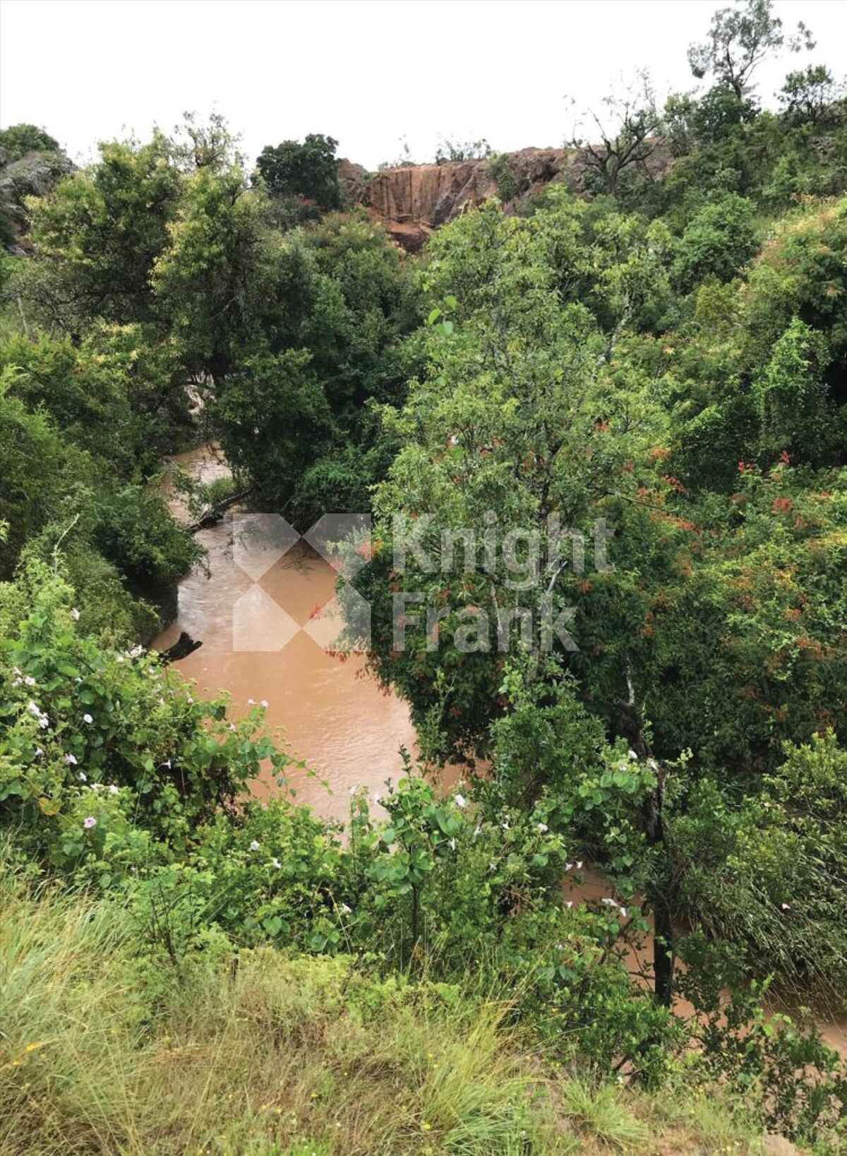Opportunity to Own 38.65-acres in a 1000-acre Conservancy in Lolldaiga ...