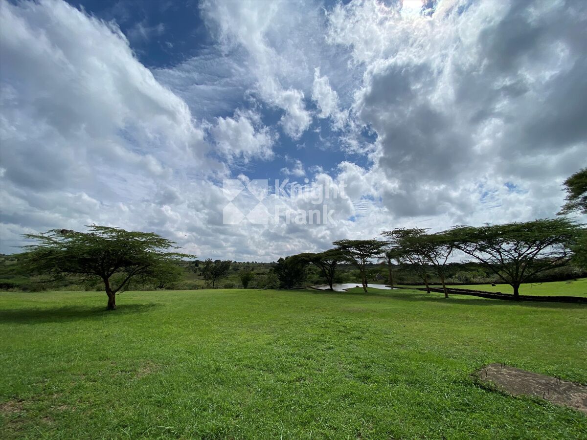 6.5-Acre property with 3 units offering exceptional potential for a ...