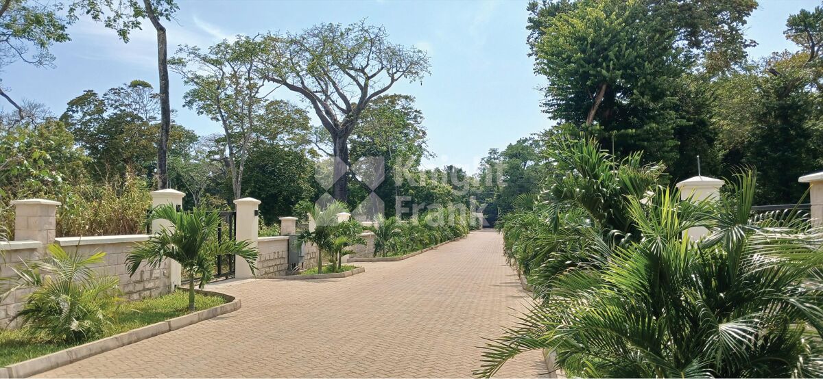 10 acre estate offering 0.5 acre plots for sale in Diani | Knight Frank UK