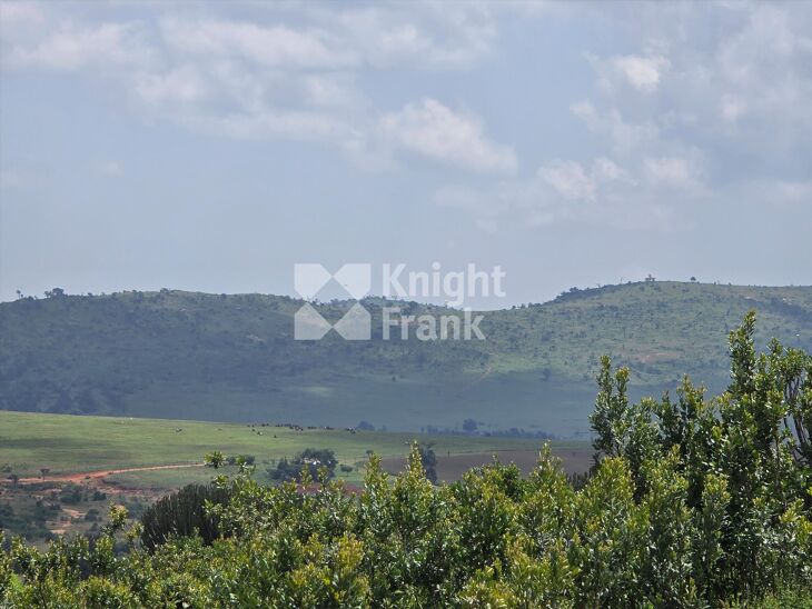 Properties for sale in Nanyuki | Knight Frank Kenya