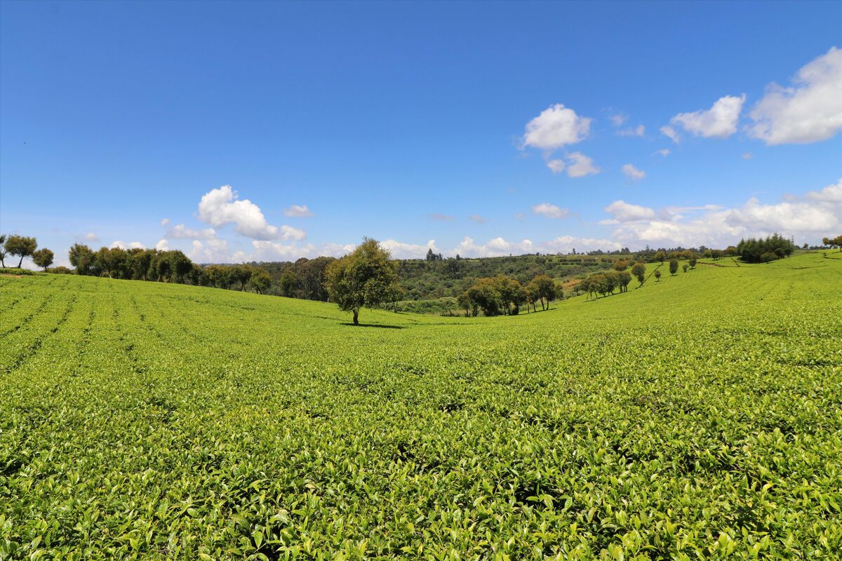 Agricultural for sale in Kipkabus Area, Near Eldama Ravine, Elgeyo ...