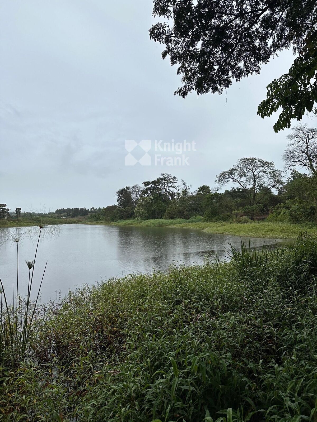 Prime Half-Acre Plot in Kijani Ridge, Tatu City | Knight Frank Global