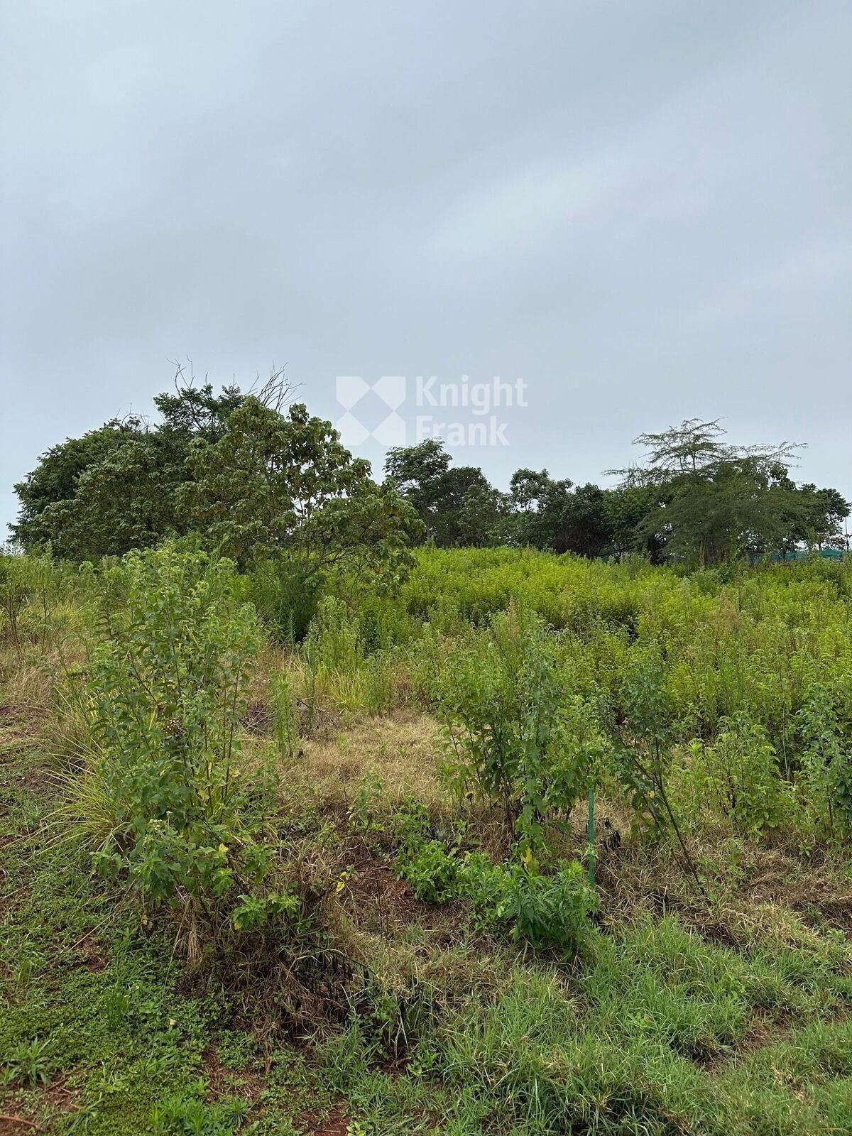Prime Half-Acre Plot in Kijani Ridge, Tatu City | Knight Frank
