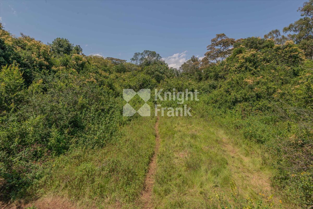 Opportunity to own prime 5acres on Mbagathi Ridge, Karen. | Knight Frank
