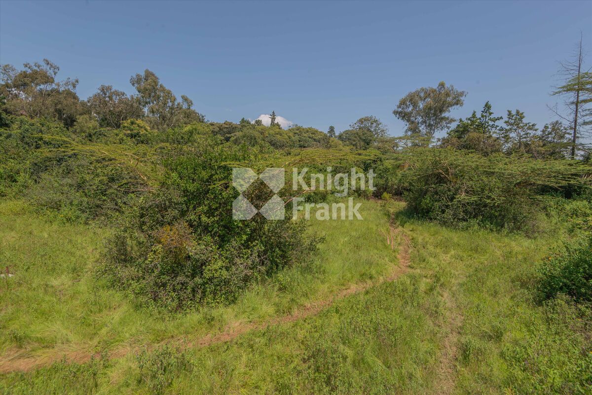 Opportunity to own prime 5acres on Mbagathi Ridge, Karen. | Knight Frank