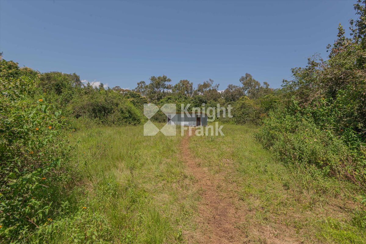Opportunity to own prime 5acres on Mbagathi Ridge, Karen. | Knight Frank