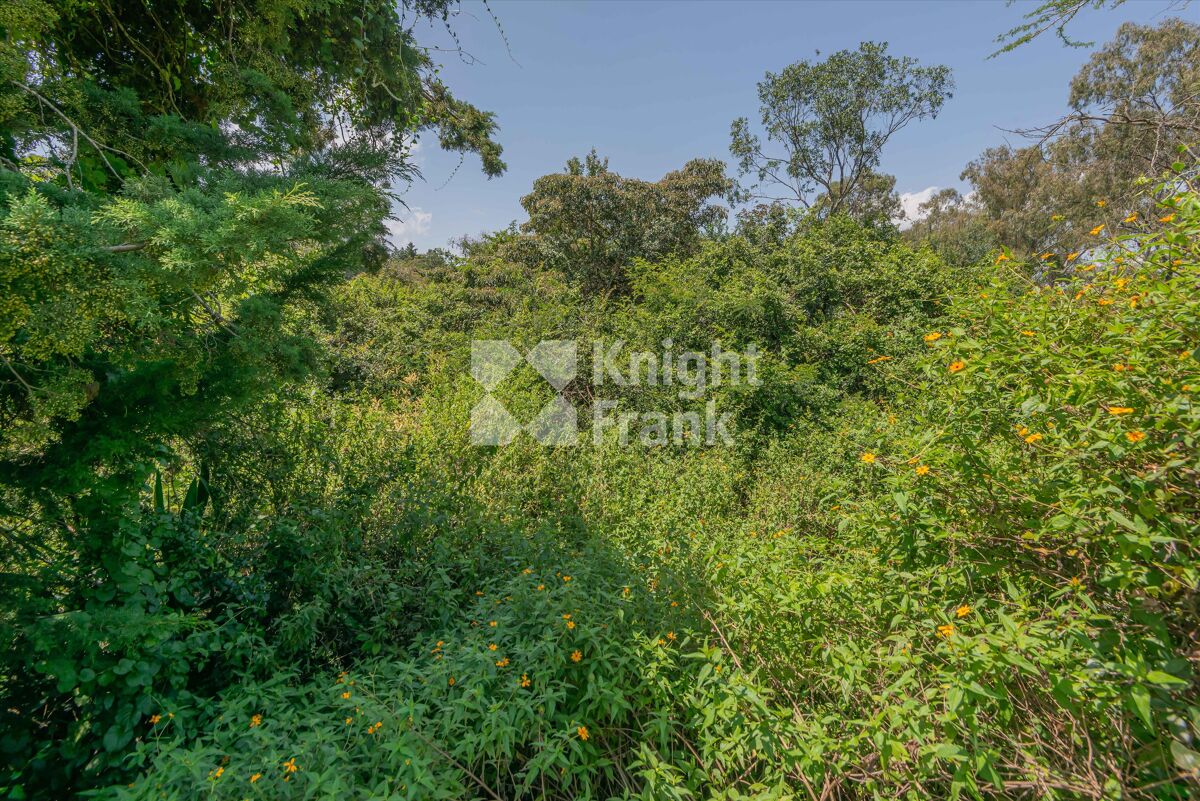 Opportunity to own prime 5acres on Mbagathi Ridge, Karen. | Knight Frank