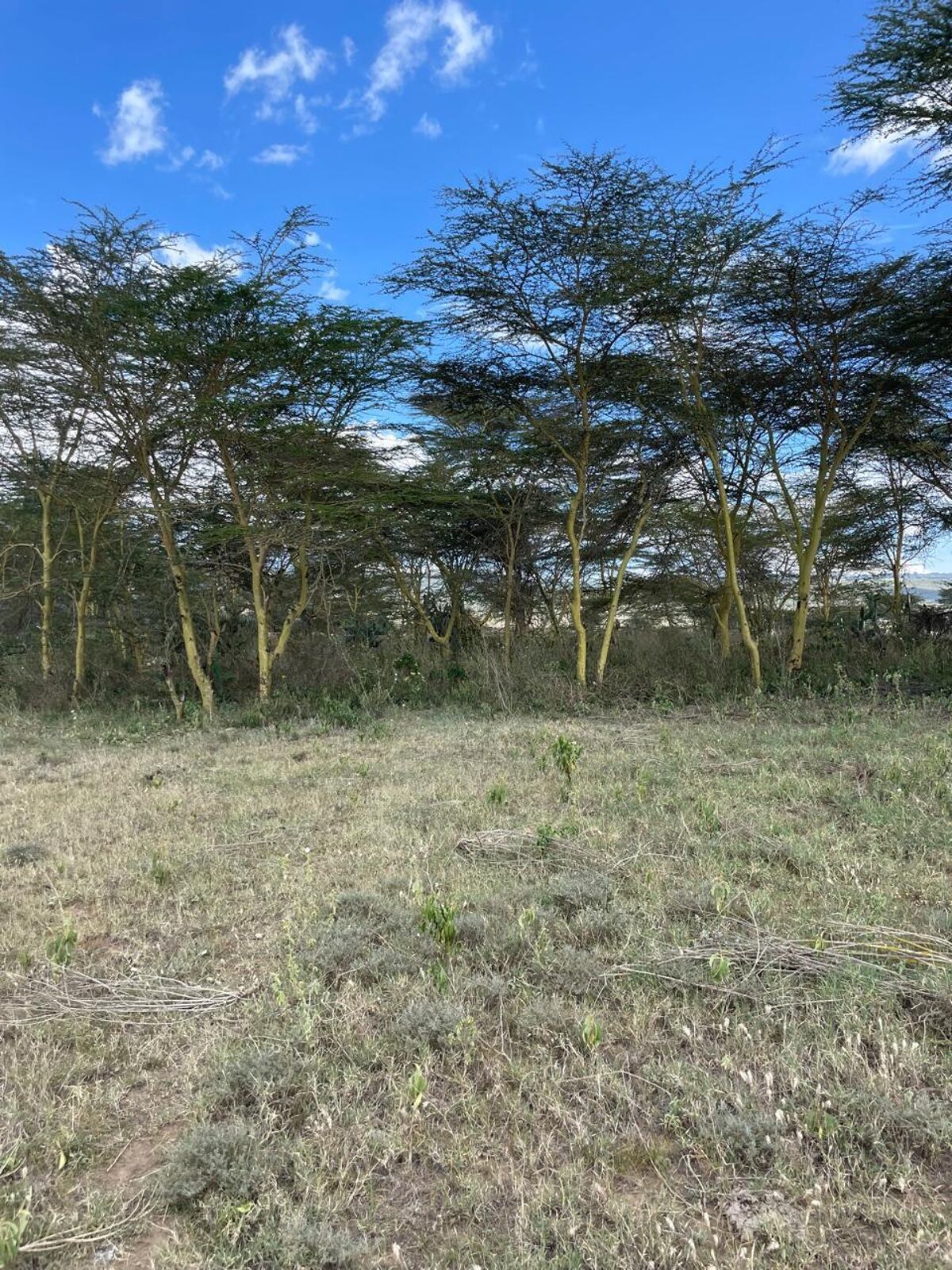 Prime Agricultural Land – 140 Acres on the Malewa River, Naivasha ...