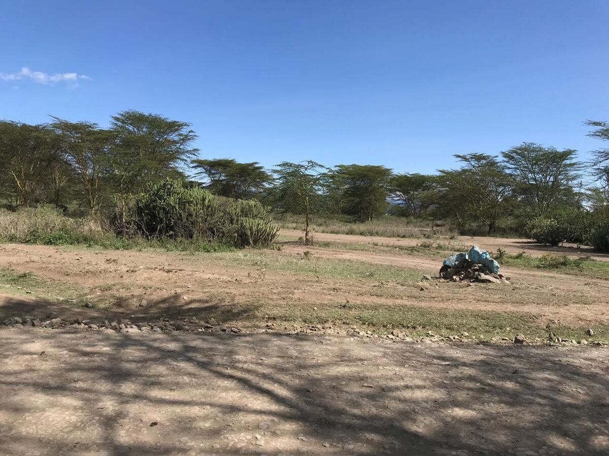 Prime Agricultural Land – 140 Acres on the Malewa River, Naivasha ...