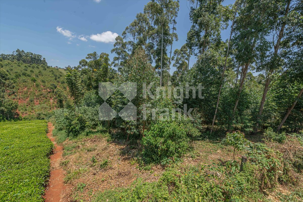 Prime 4.8 acre Land for Sale in Riara Ridge, Limuru | Knight Frank UK