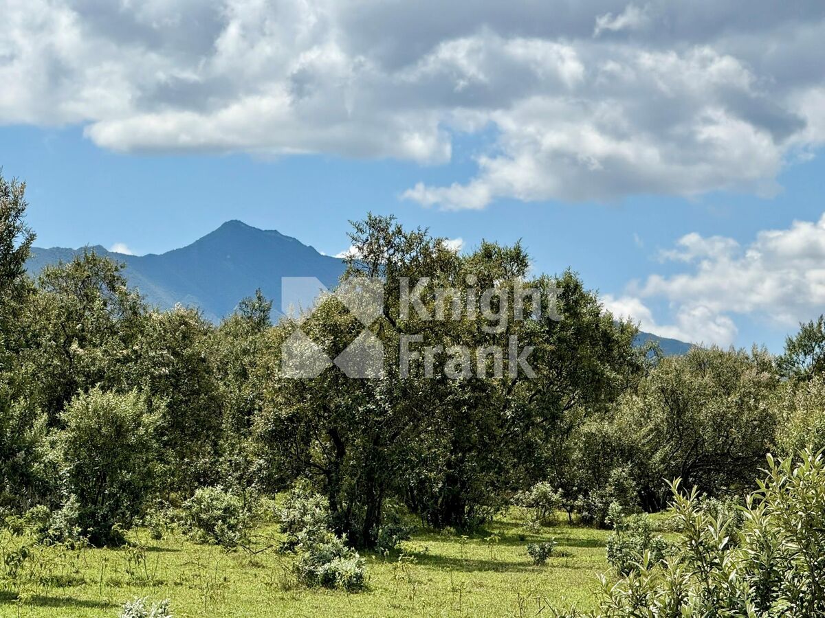 Stunning 10-acres in picturesque area of Kedong, Naivasha | Knight Frank