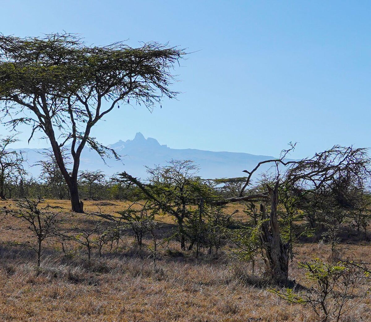 Prime 151 Acre Plot in Lolldaiga Valley | Knight Frank Spain