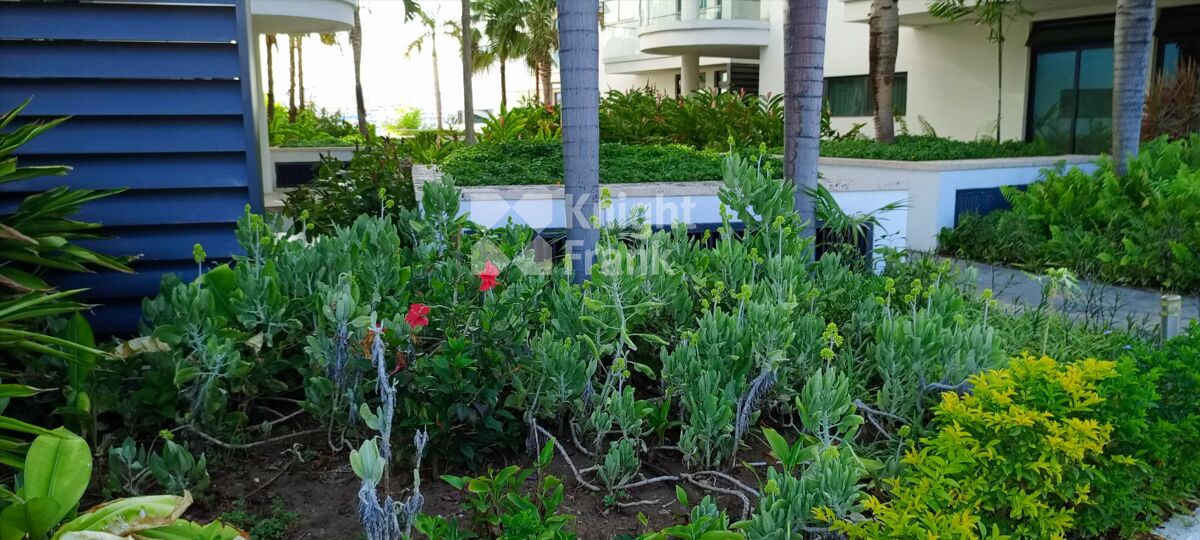 3-Bedroom Apartment For Sale at English Point Marina. | Knight Frank Kenya