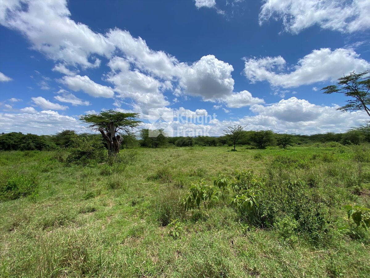 Two adjacent 5-Acre plots with flat terrain and mixed soil | Knight Frank