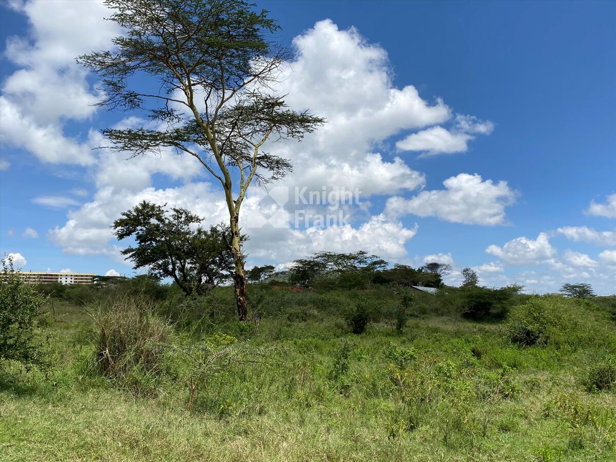 Two adjacent 5-Acre plots with flat terrain and mixed soil | Knight Frank