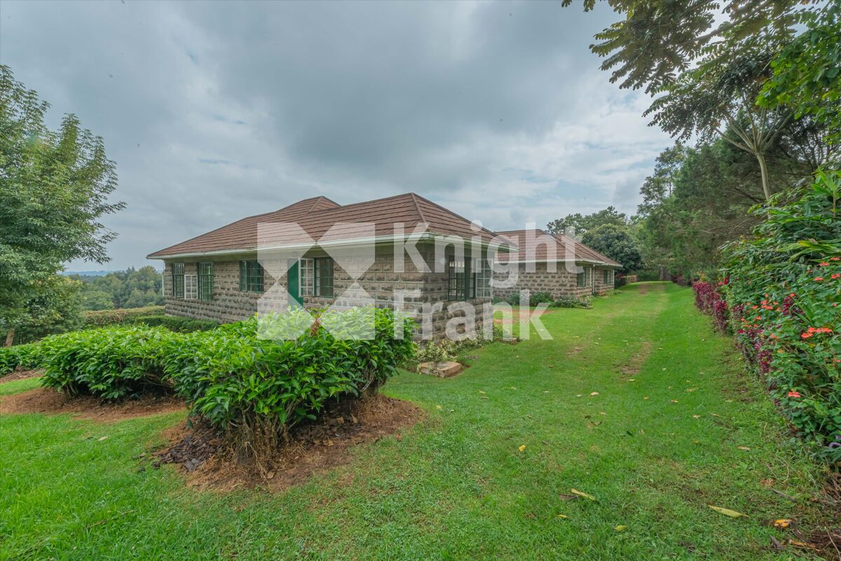 Charming 4-Bedroom Bungalow in the Heart of Limuru's Tea Country – Muna ...