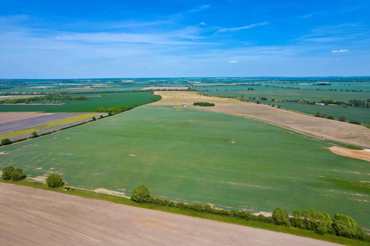 Agricultural to rent in Land at Loves Farm, Land at Loves Farm, Loves ...