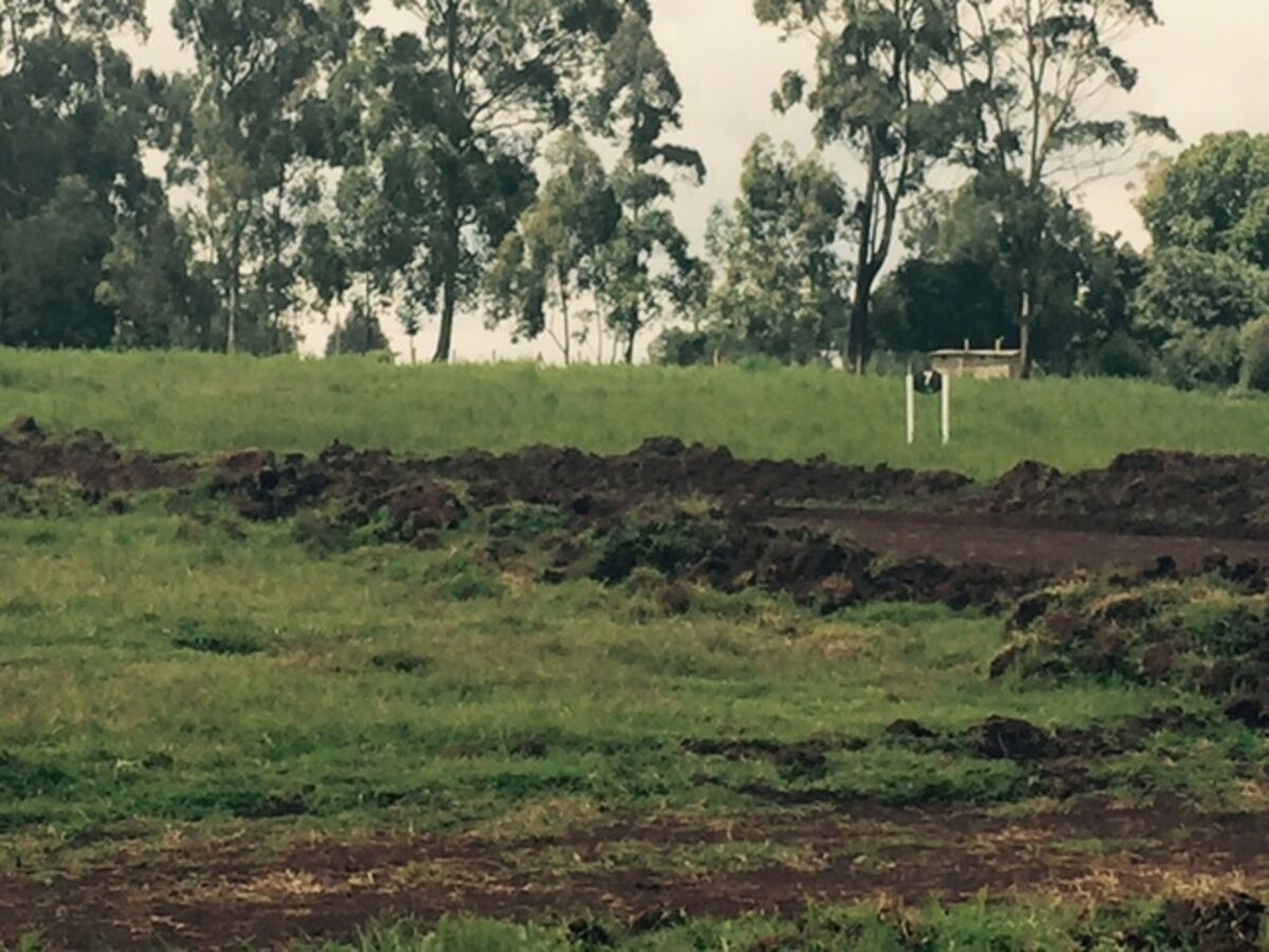 Development Site for sale in Tilisi Logistics Park, Limuru,Kiambu ...