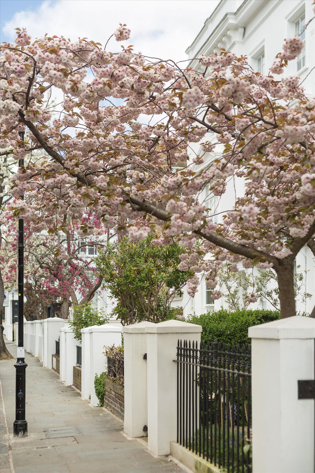 house for sale in Inkerman Terrace, Allen Street, London, W8 ...