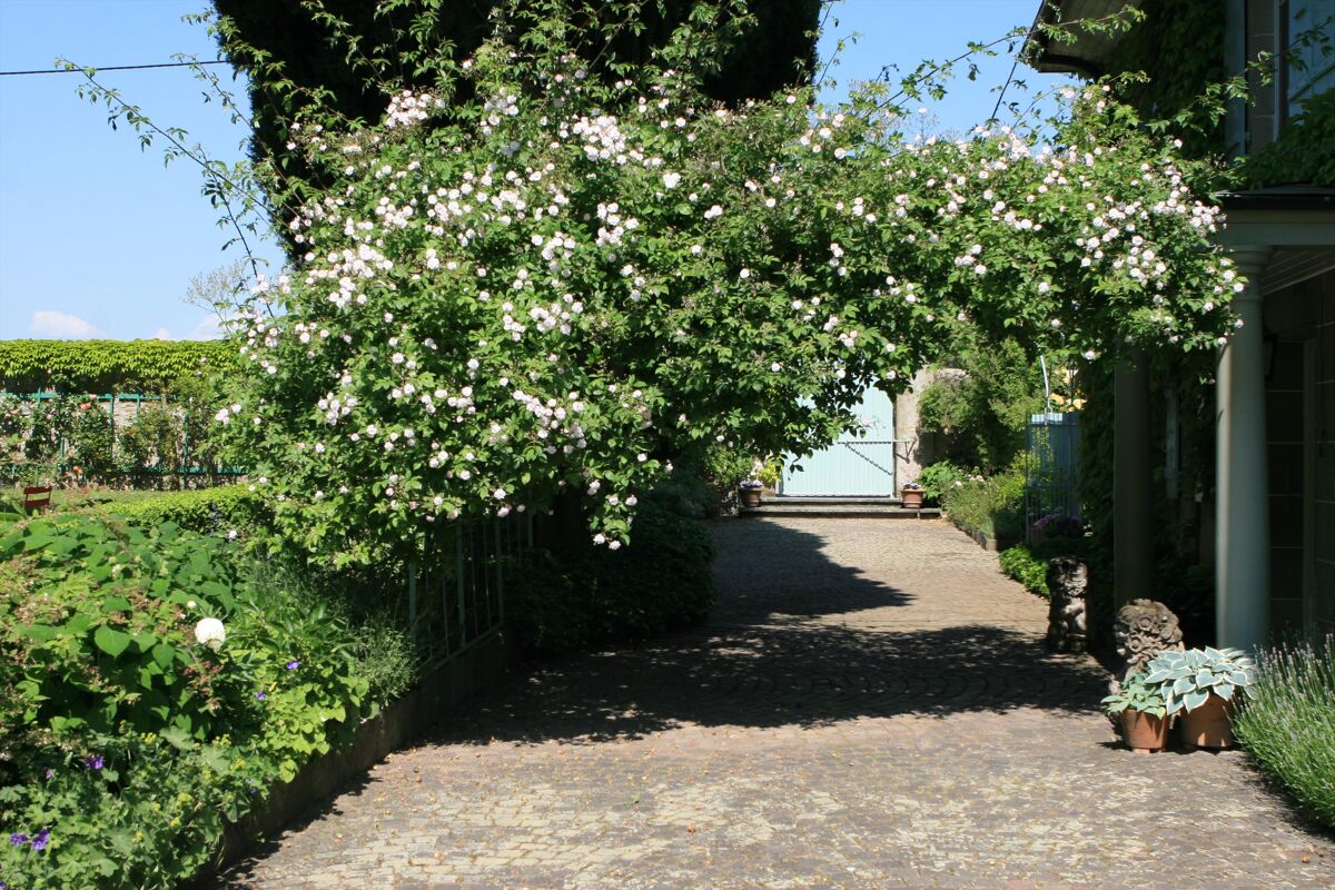 villa for sale in Tolochenaz, Lausanne, Vaud - rsi012536622 | Knight ...