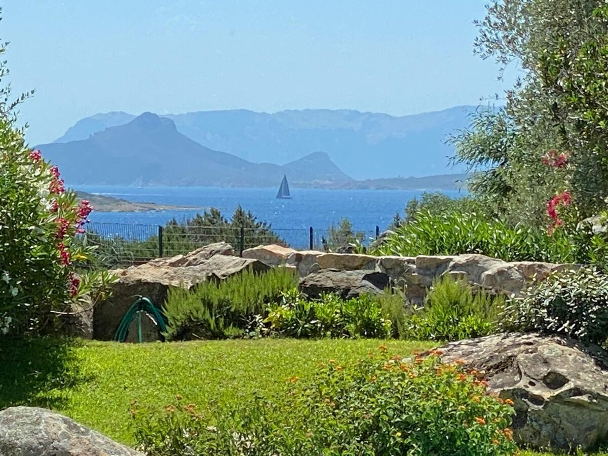 villa for sale in Porto Cervo, Sardinia - rsi012574152 | Knight Frank ...