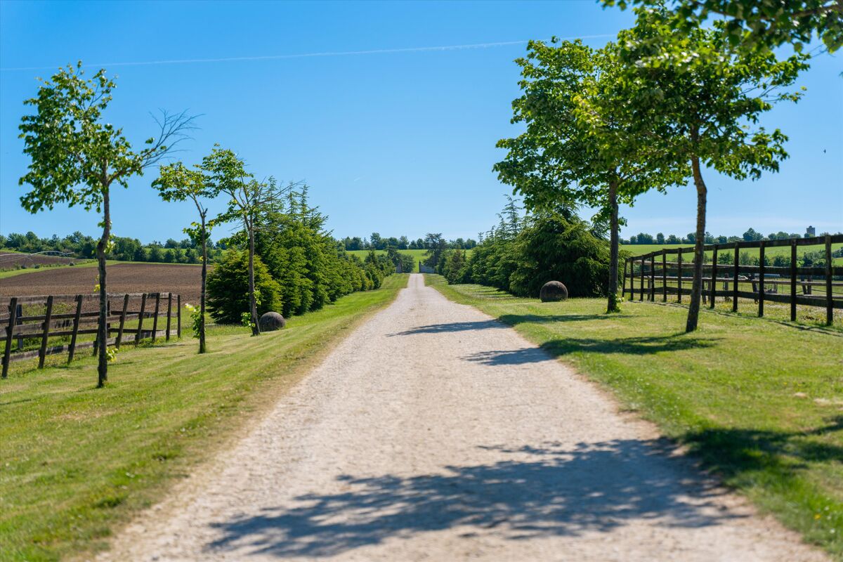 chateau for sale in Homps, Gers, Midi-Pyrénées - rsi012590288 | Knight ...