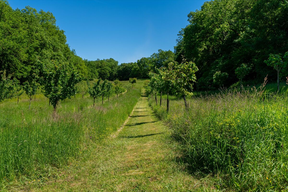 chateau for sale in Homps, Gers, Midi-Pyrénées - rsi012590288 | Knight ...