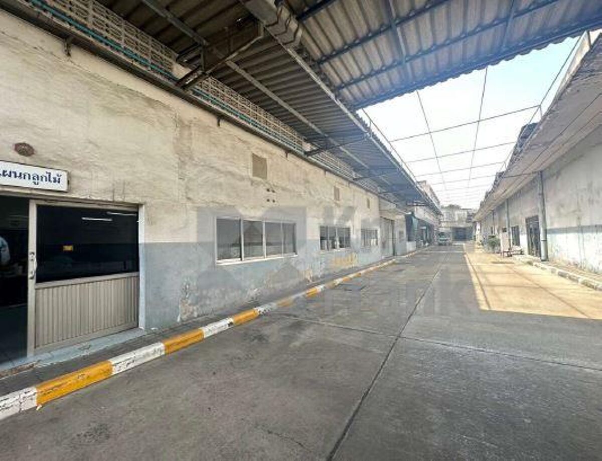 Immobili in affitto - Petchkasem road km. 27, Omyai sub-district, Nakhon Pathom | Knight Frank