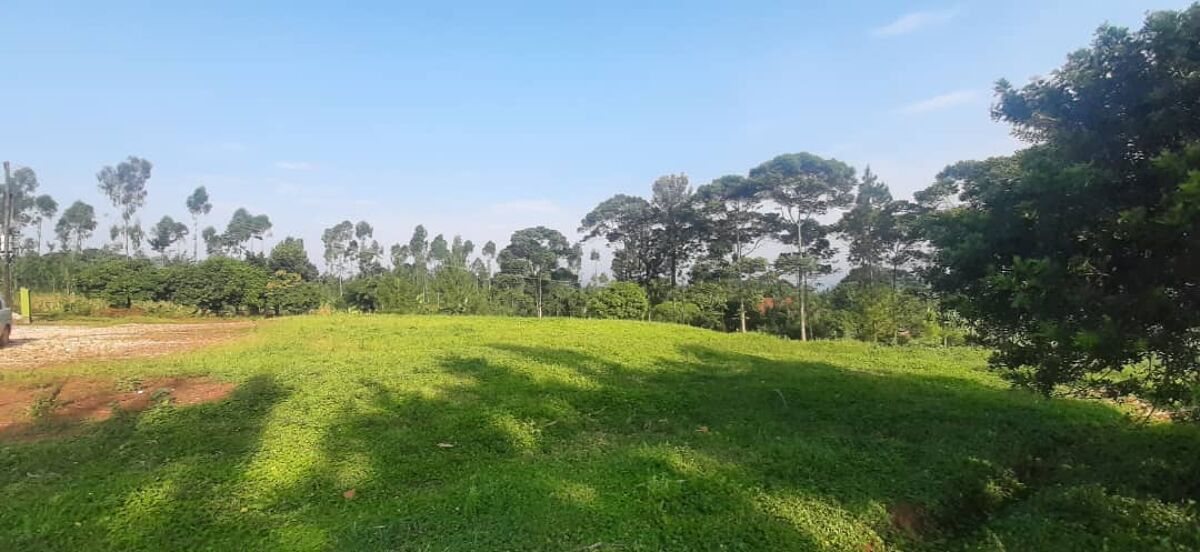 House for sale in CS063,Bugembe, Jinja,Uganda - ugcs063 | Knight Frank